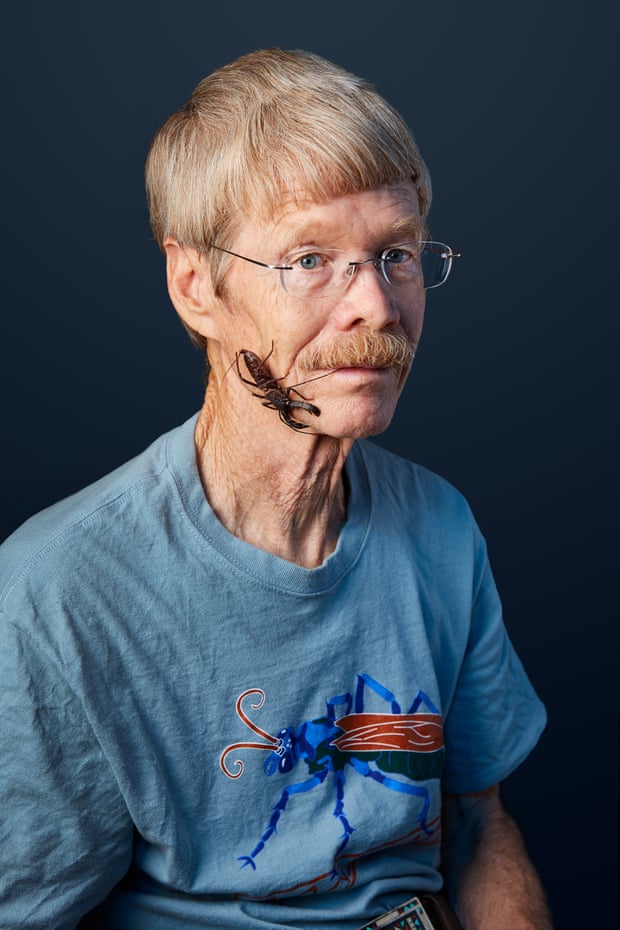 Justin Schmidt: el “Rey del Dolor” que fue picado por 150 especies de ...